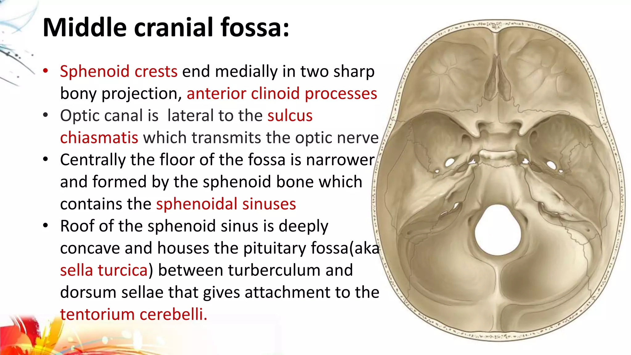 Cranium- anatomy of basi-cranium, dural venous sinus | PPTX