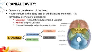 Cranium- anatomy of basi-cranium, dural venous sinus | PPTX