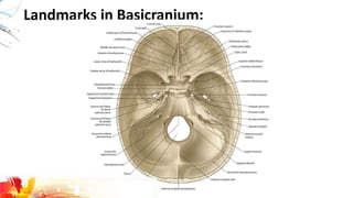 Cranium- anatomy of basi-cranium, dural venous sinus | PPTX