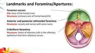 Cranium- anatomy of basi-cranium, dural venous sinus | PPTX