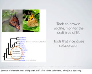 Open Tree of Life at Duke Futures | PPT