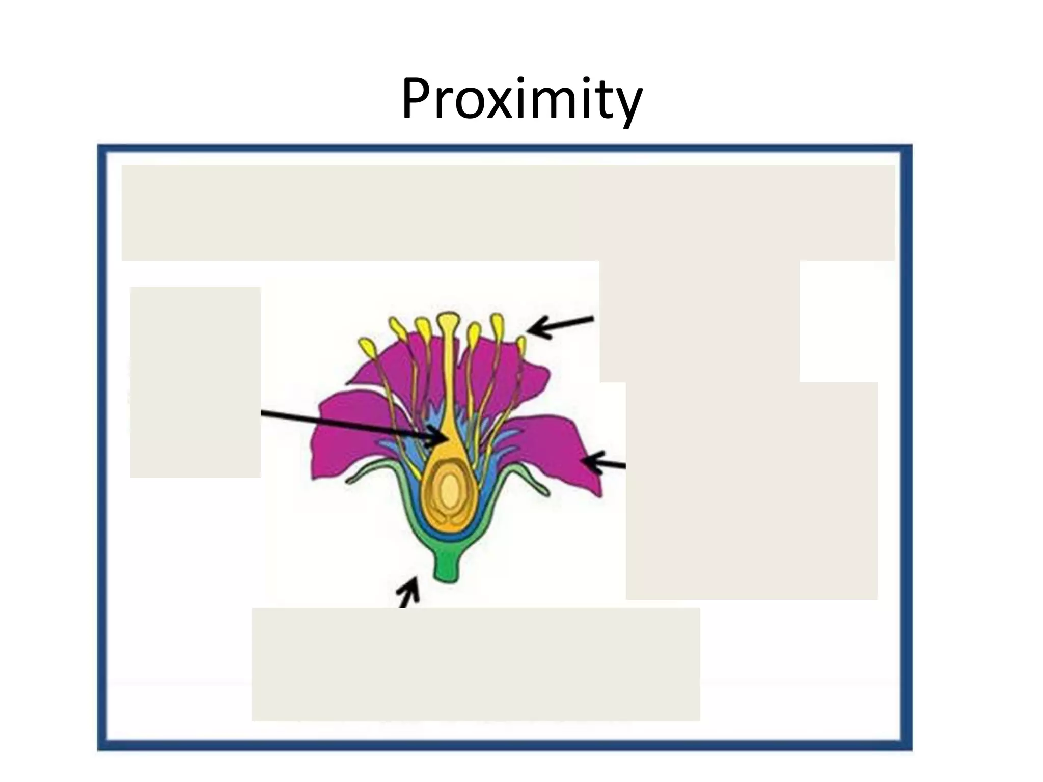 Crap principles of-design_for_learning | PPTX