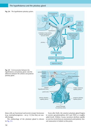 crash course Endocrinology every thing you need physiology anatomy ...