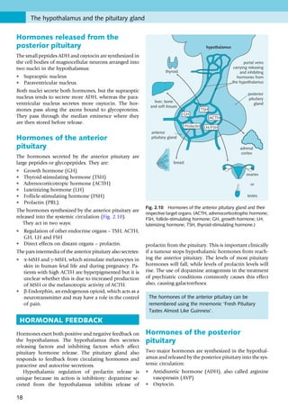 crash course Endocrinology every thing you need physiology anatomy ...