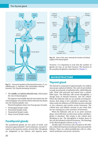 crash course Endocrinology every thing you need physiology anatomy ...