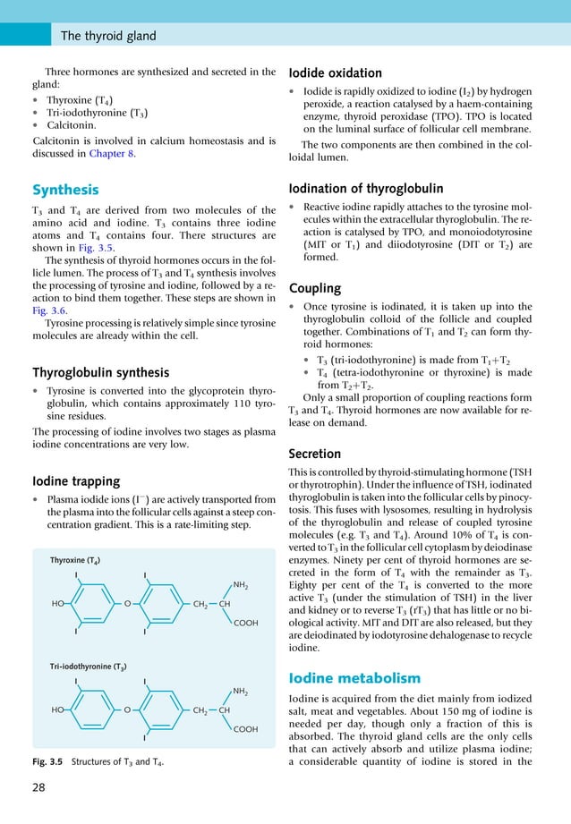 crash course Endocrinology every thing you need physiology anatomy ...