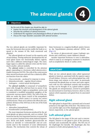 crash course Endocrinology every thing you need physiology anatomy ...