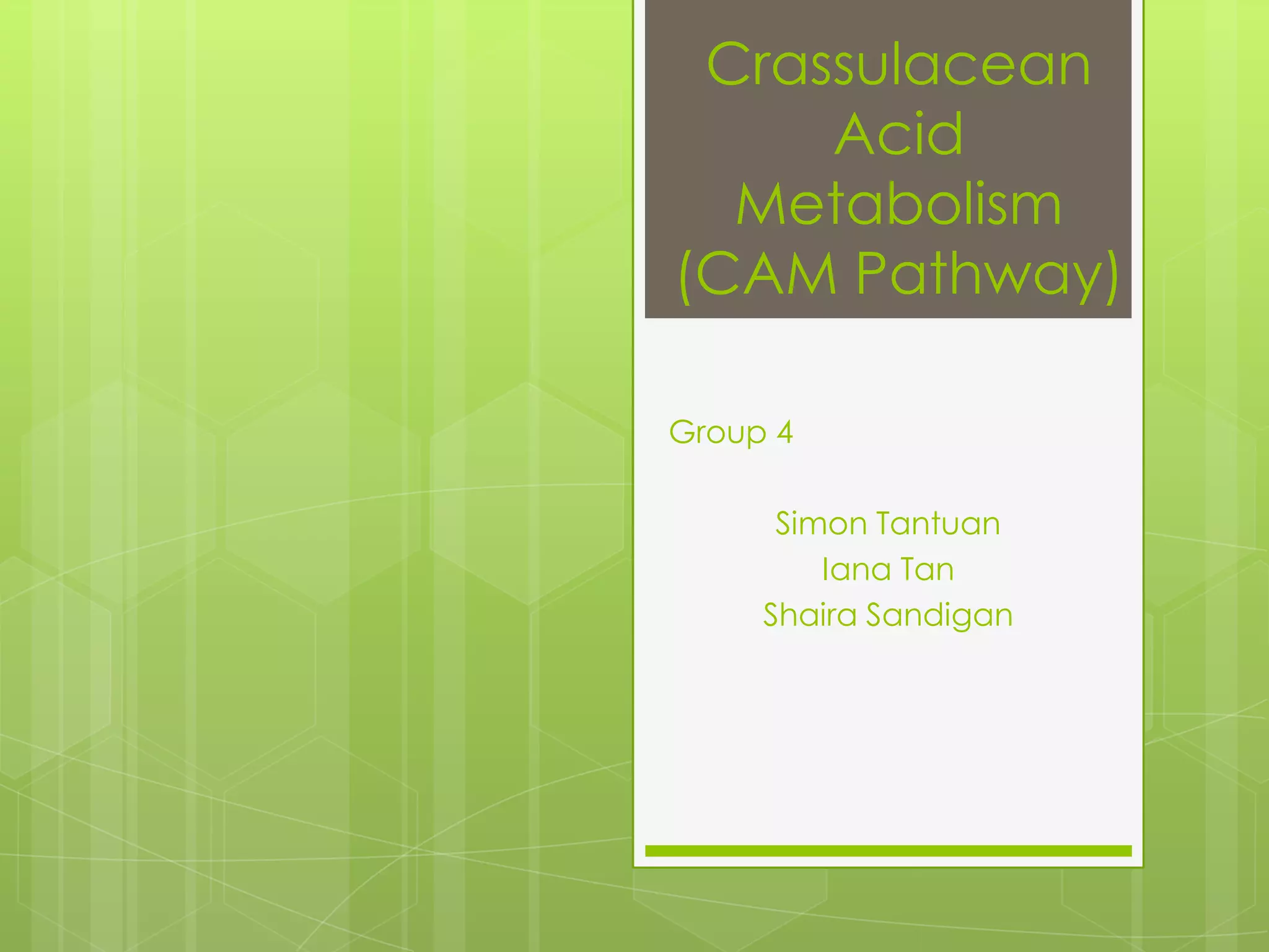 Crassulacean Acid Metabolism (CAM Pathway) | PPTX
