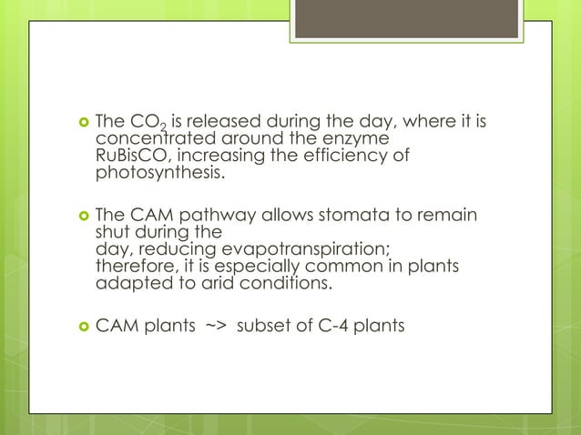 Crassulacean Acid Metabolism (CAM Pathway) | PPTX | Chemistry | Science
