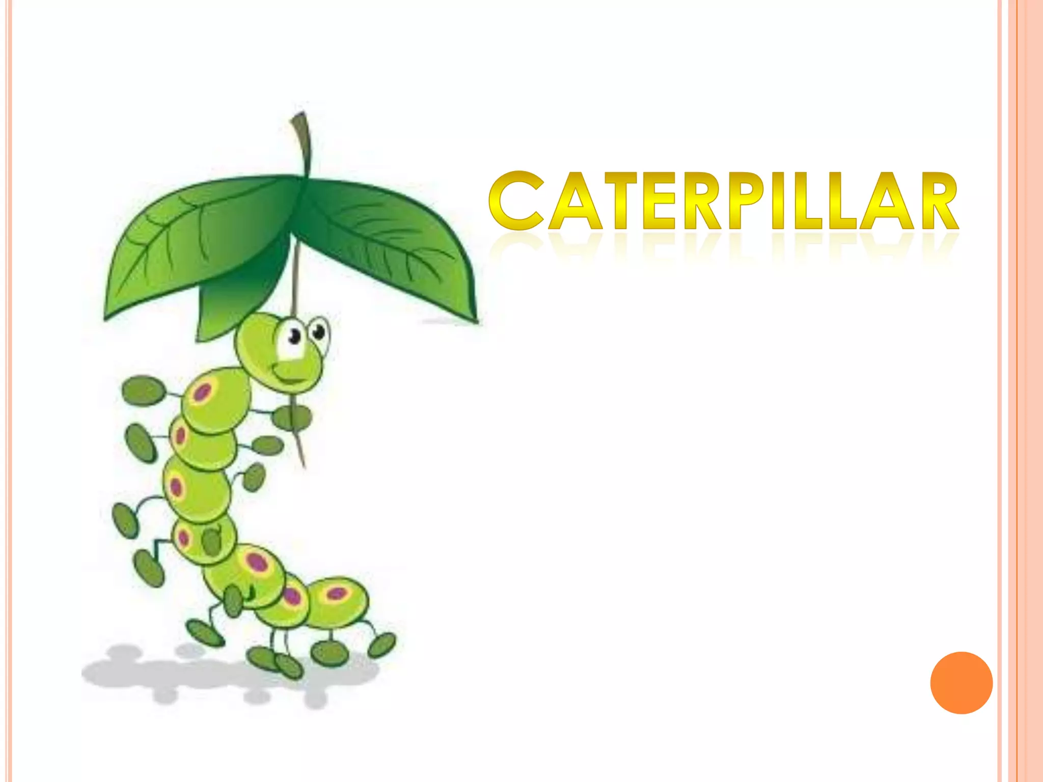 Crawling insects | PPT