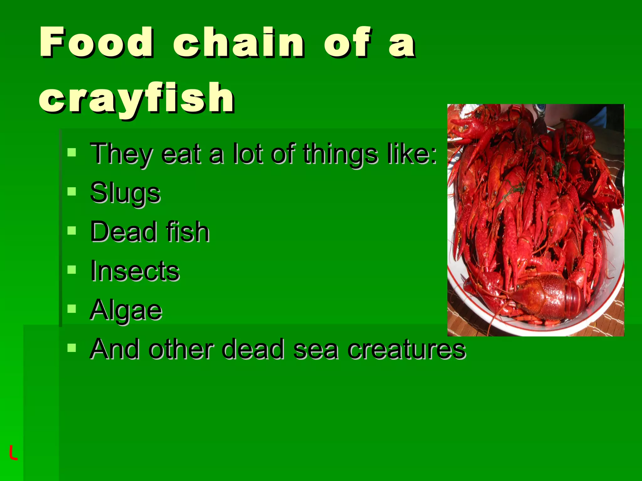 Cray fish | PPT
