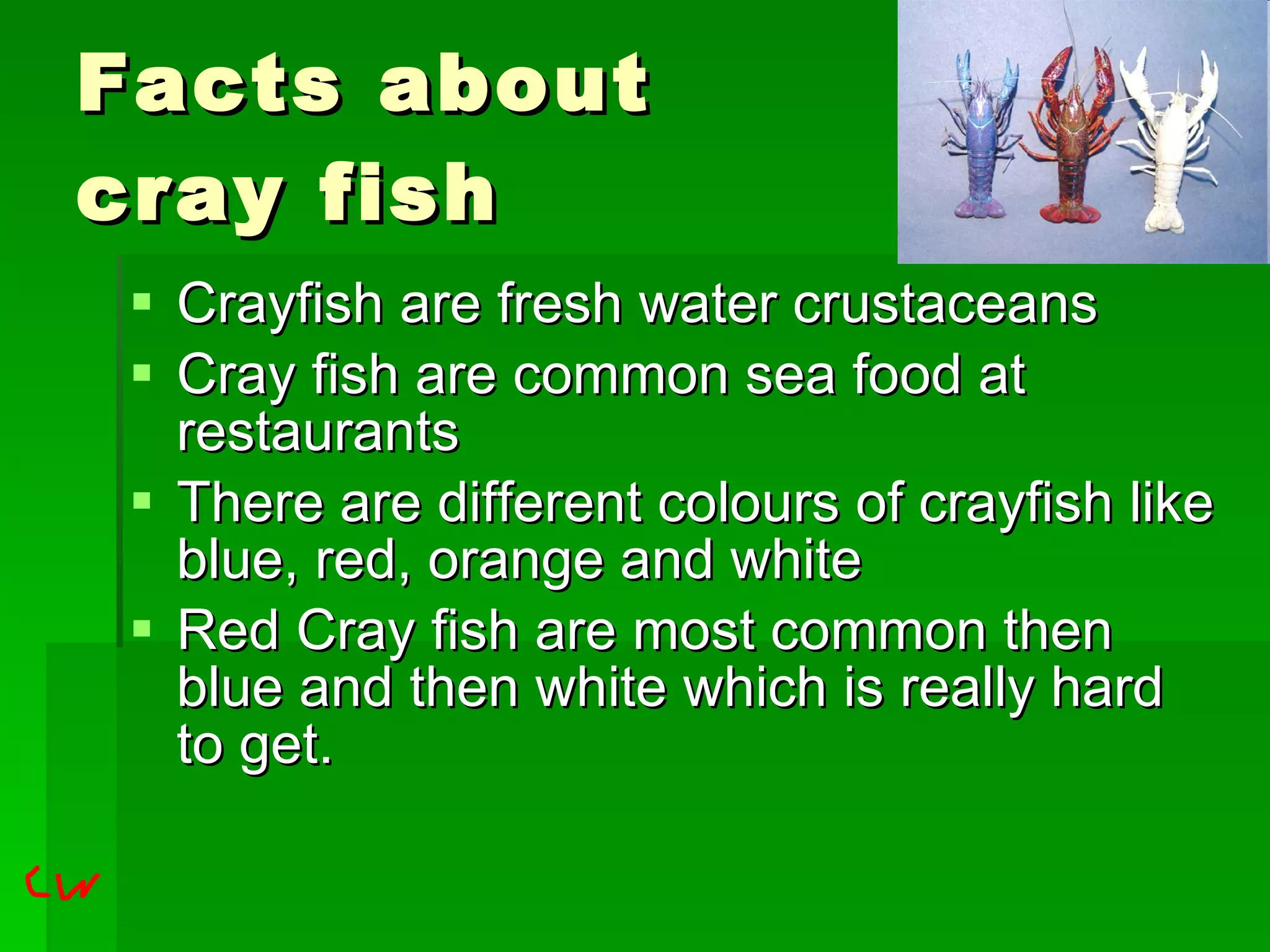 Cray fish | PPT