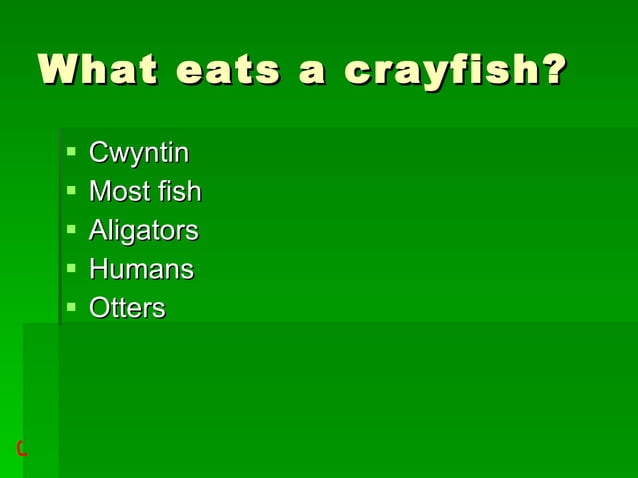 Cray fish | PPT