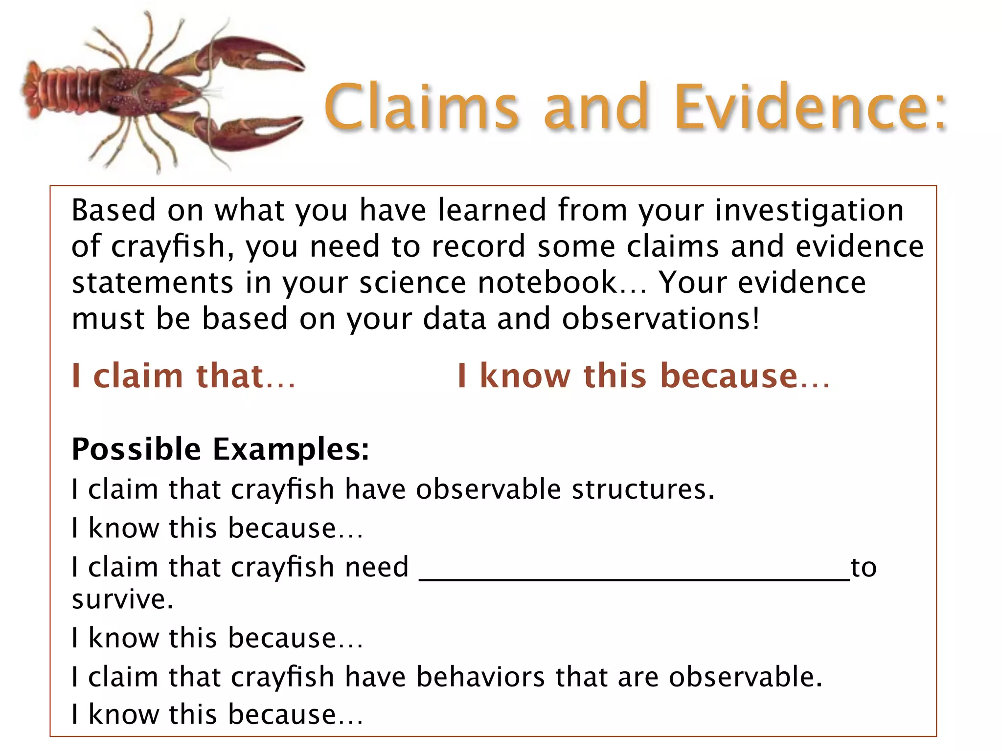 Crayfish classroom slides | PDF
