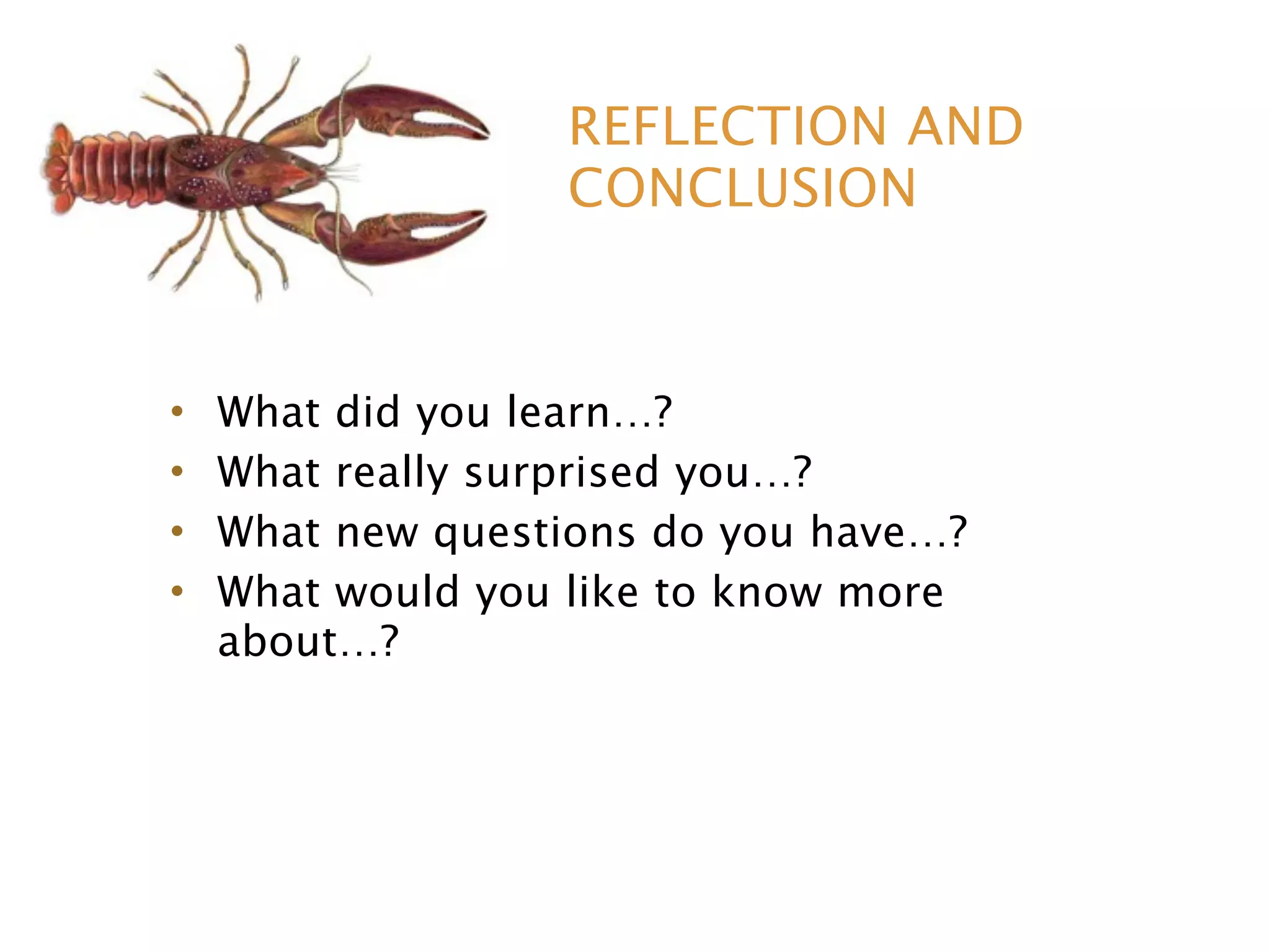 Crayfish classroom slides | PDF