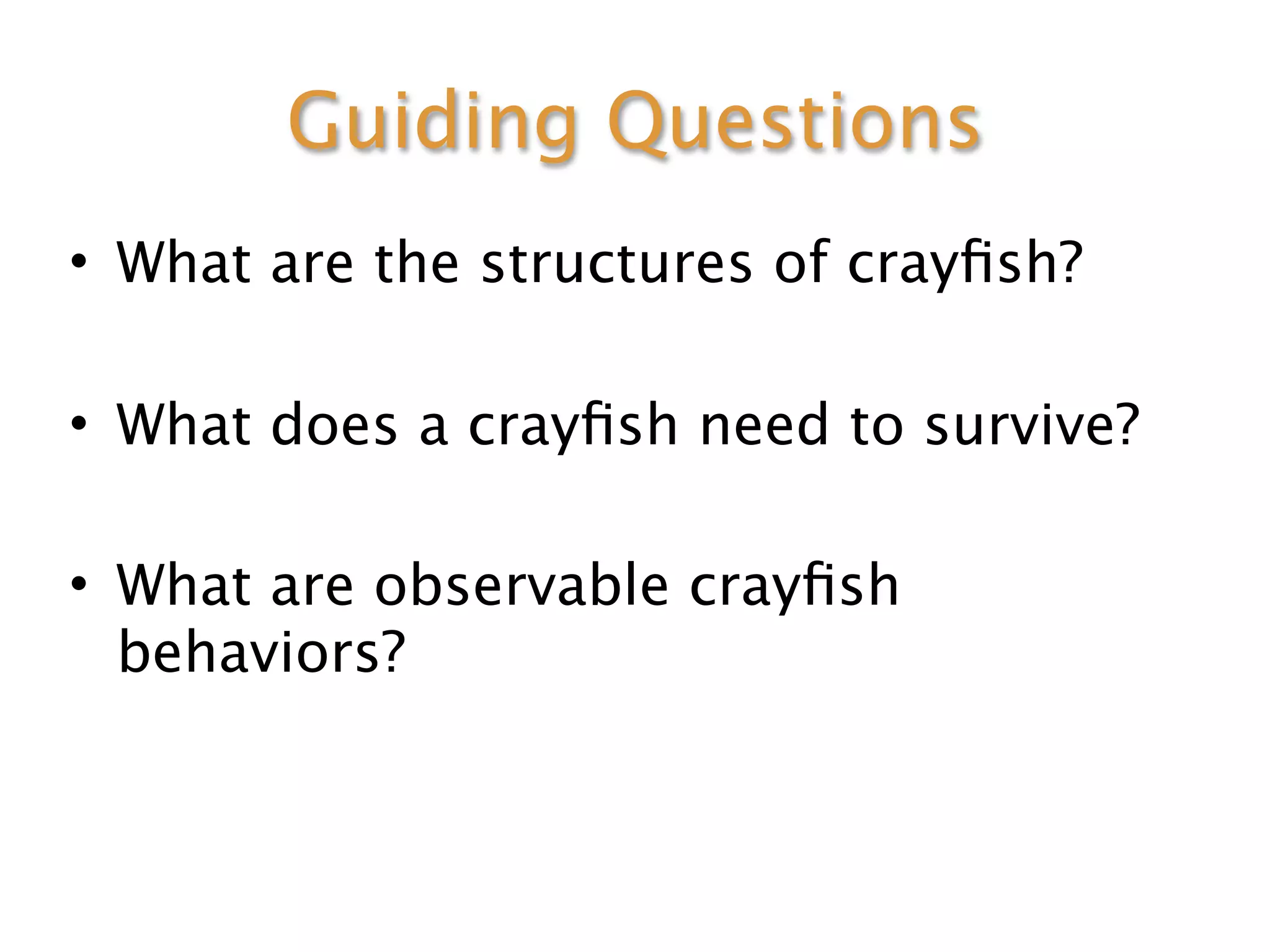 Crayfish classroom slides | PDF