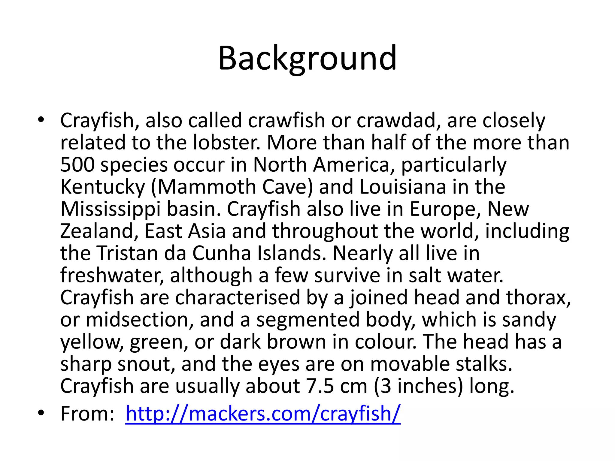 Crayfish lab set up | PPTX