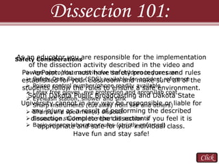 Crayfish Dissection Powerpoint Presentation | PPTX