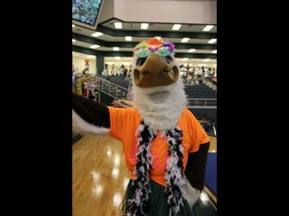 Crazy Day, Football Games, Pep Rallies | PPTX