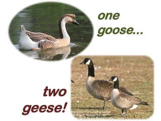 Crazy english language | PDF