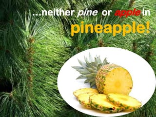 Crazy english language | PDF