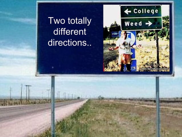 Crazy road signs | PPT