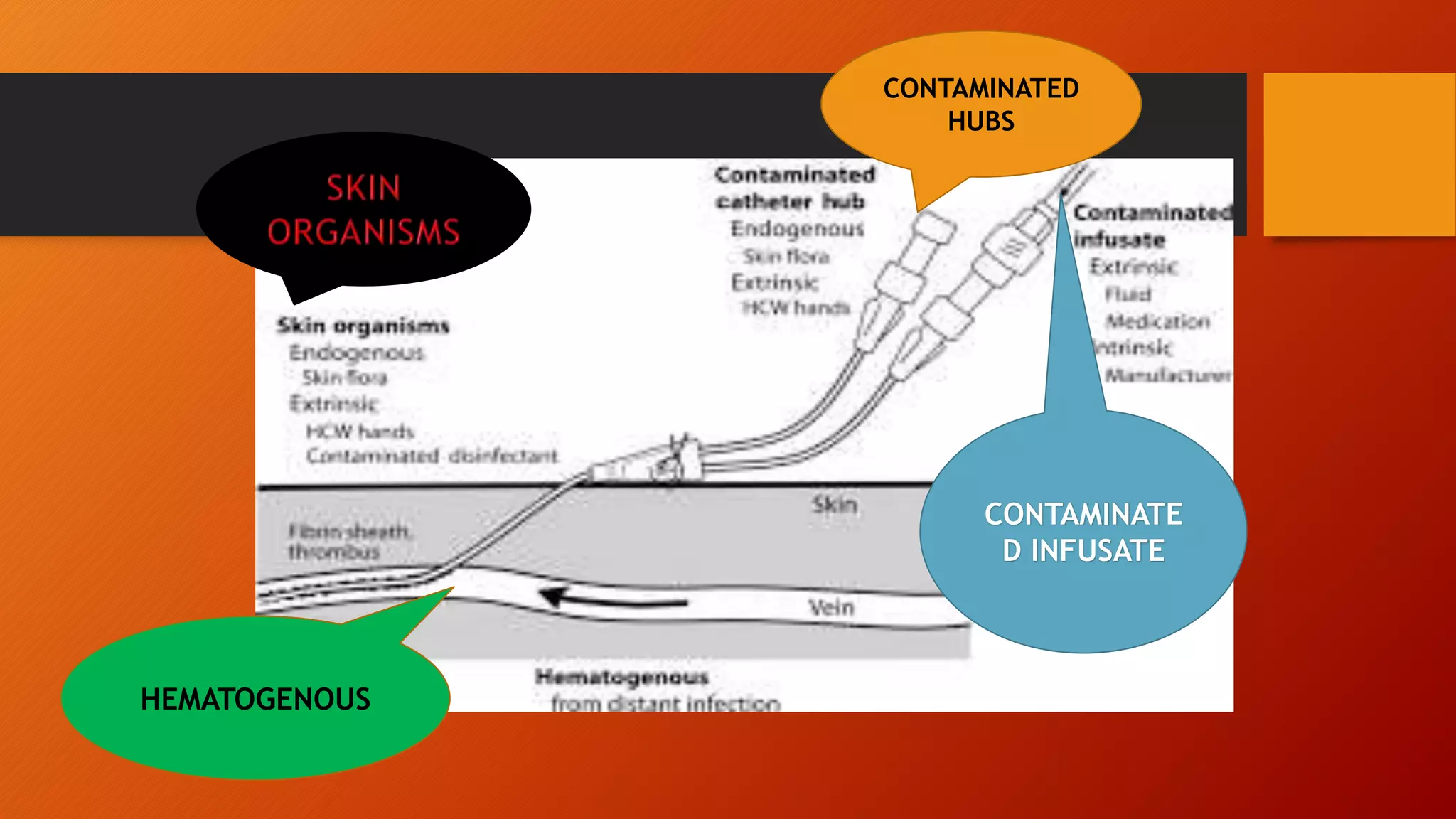 CATHETER RELATED BLOOD STREAM INFECTION | PPTX