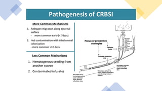 CRBSI PRESENTATION 2022.pptx