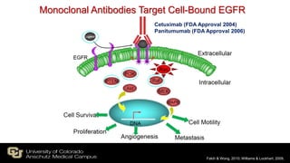 Biomarkers: Next Generation Sequencing and Updates on NTRK and ctDNA | PPTX