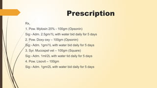 Mycoplasmosis Complicated Chronic Respiratory Disease (CRD) | PPT