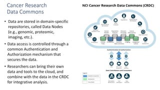 NCI Cancer Research Data Commons - Overview | PPTX | Cloud Computing ...