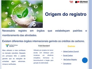 CRÉDITOS DE CARBONO QUIMICA DO MEIO AMBIENTE | PDF