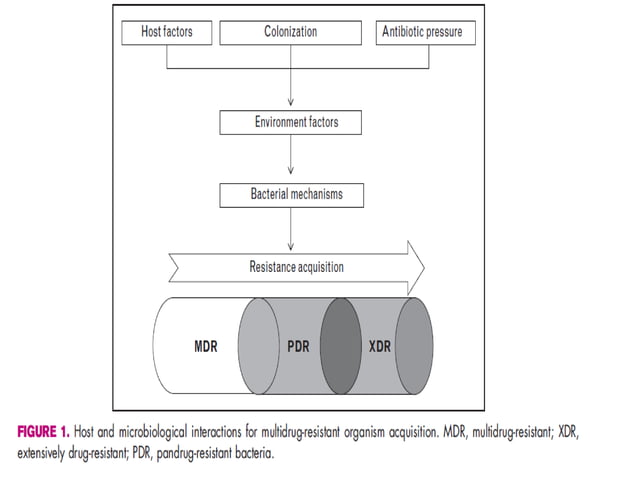 Managing MDR/XDR Gram Negative infections in ICU | PPTX