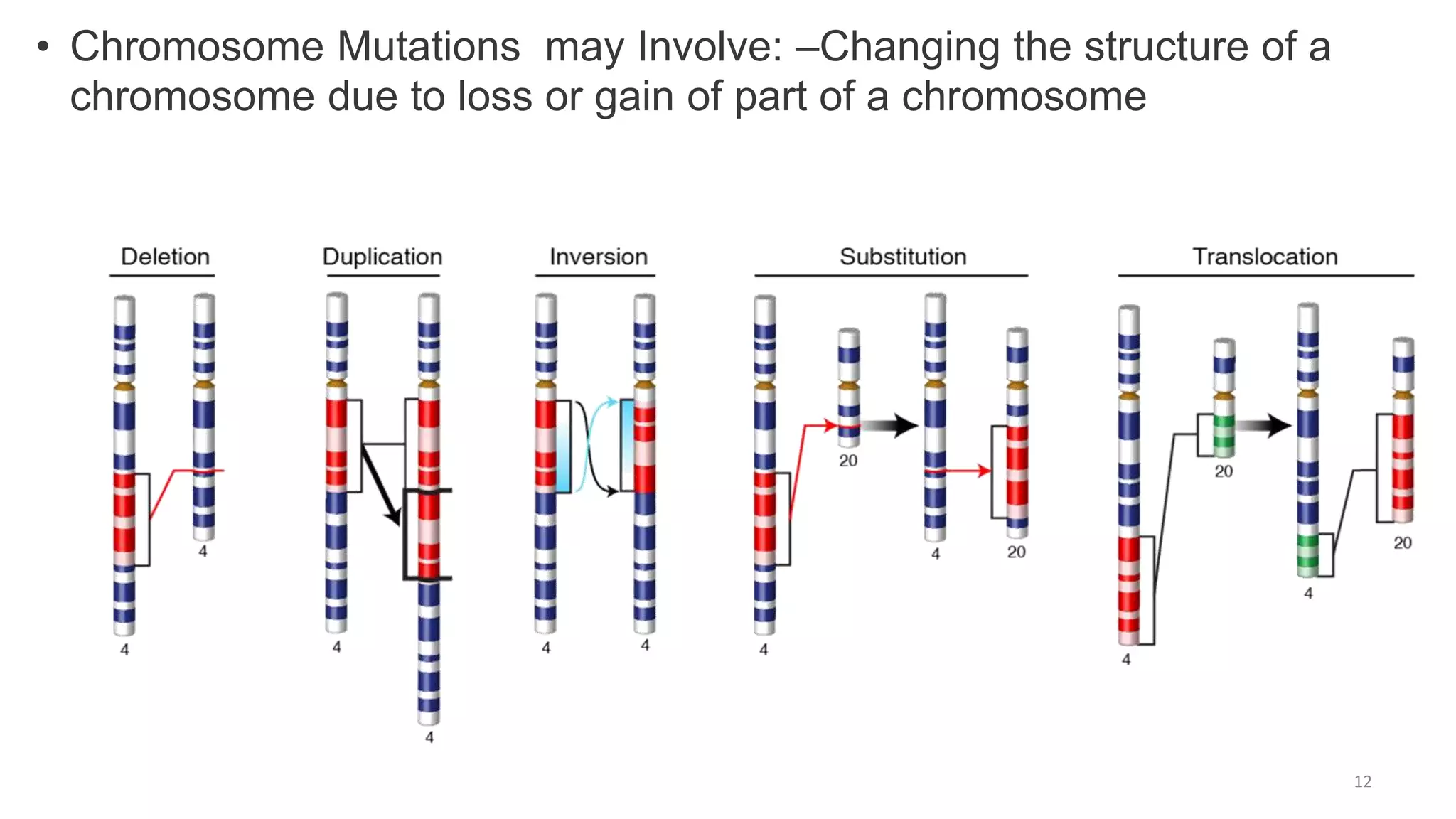 TARGETED MUTAGENESIS | PPTX