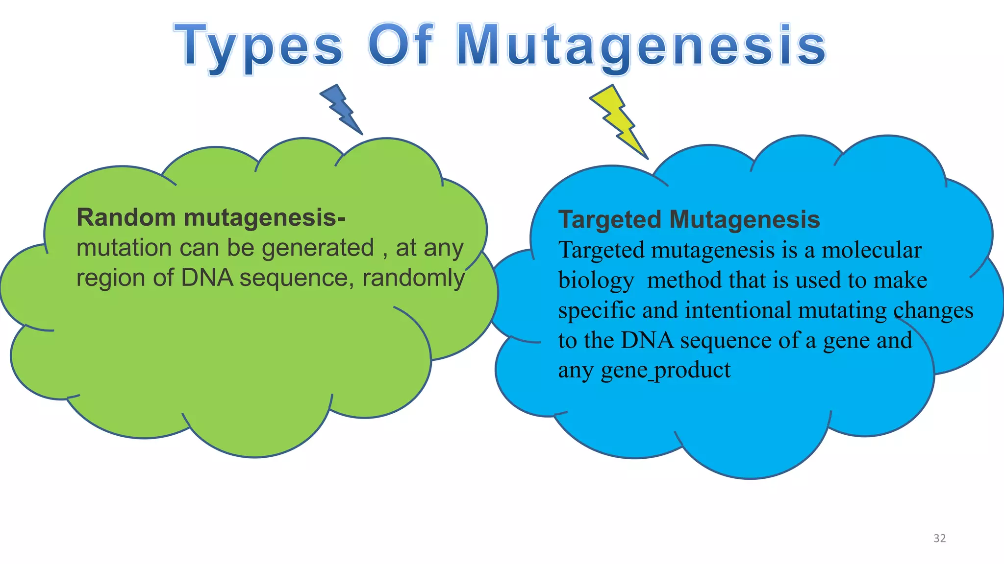 TARGETED MUTAGENESIS | PPTX