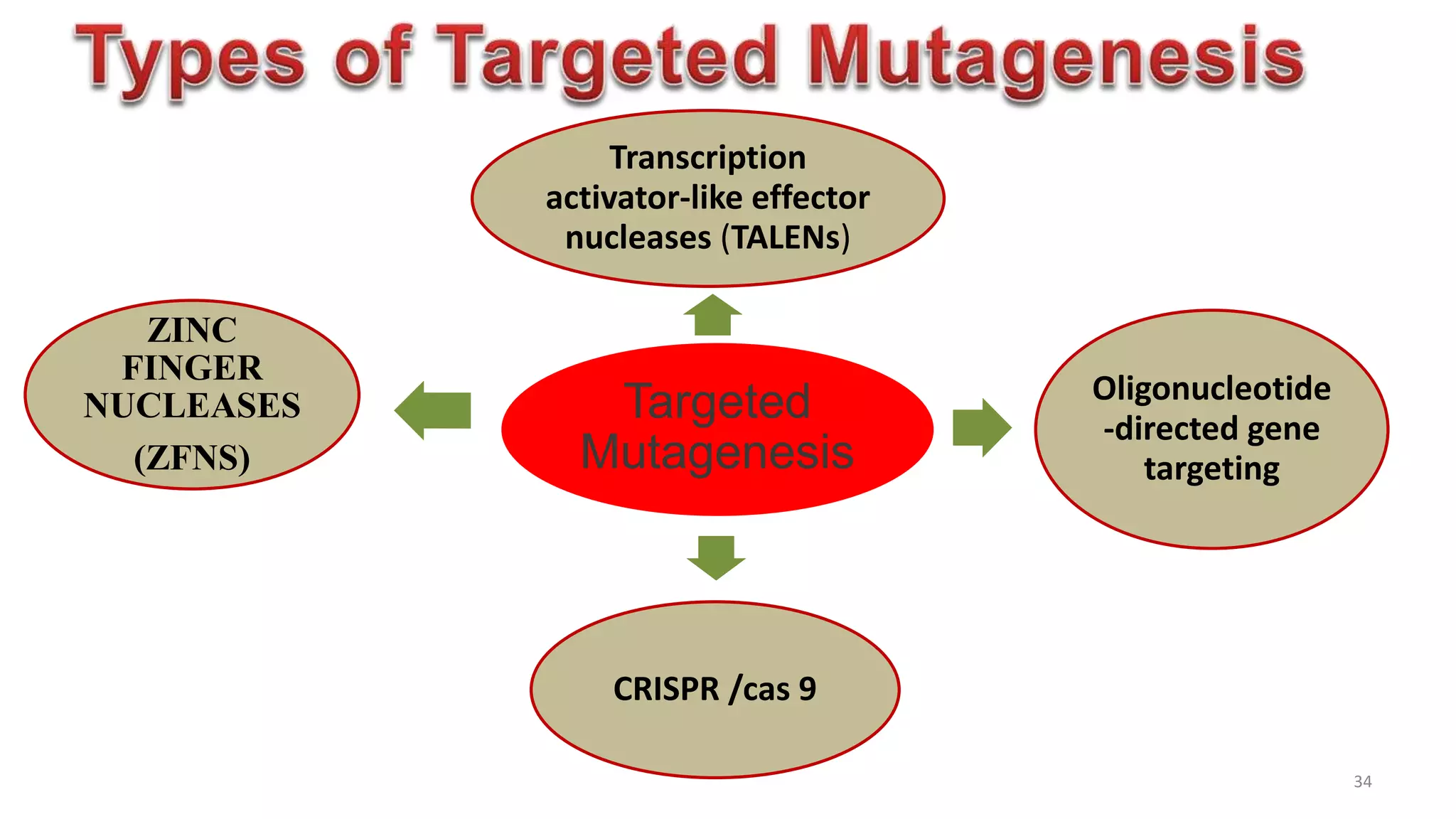 TARGETED MUTAGENESIS | PPTX