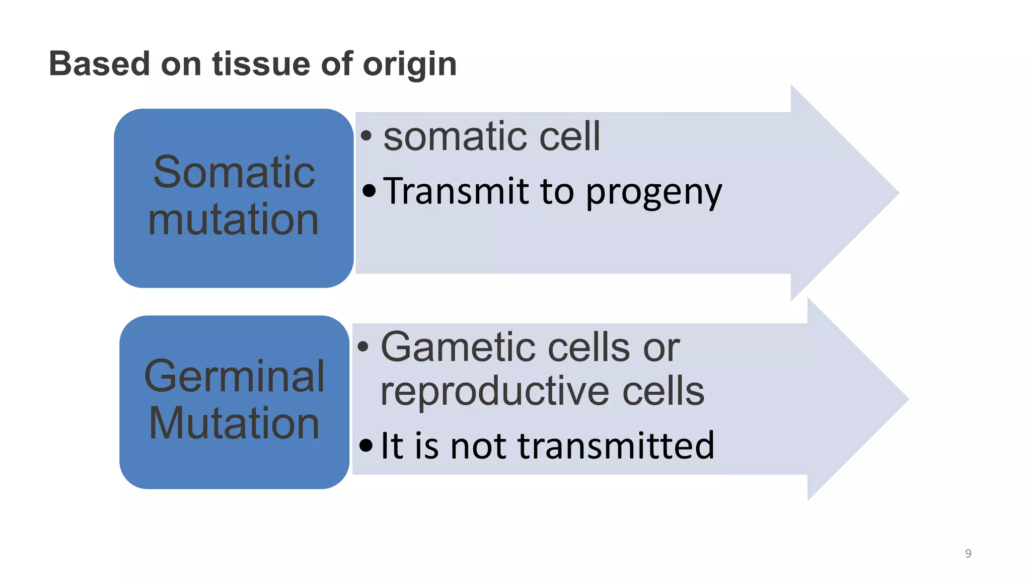 TARGETED MUTAGENESIS | PPTX