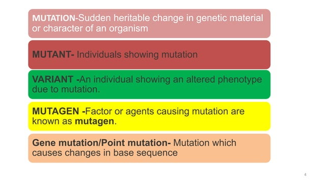 TARGETED MUTAGENESIS | PPTX | Gardening | Home & Garden