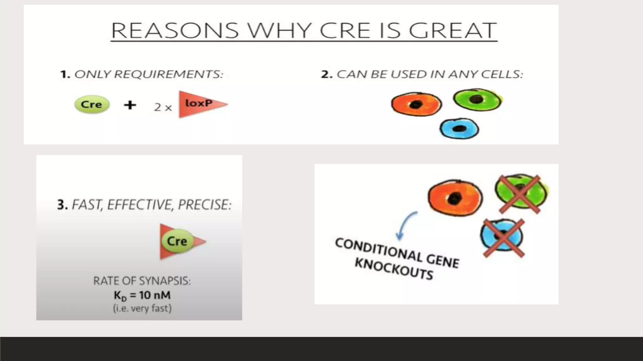 Cre- lox recombination | PPTX | Genetics | Science