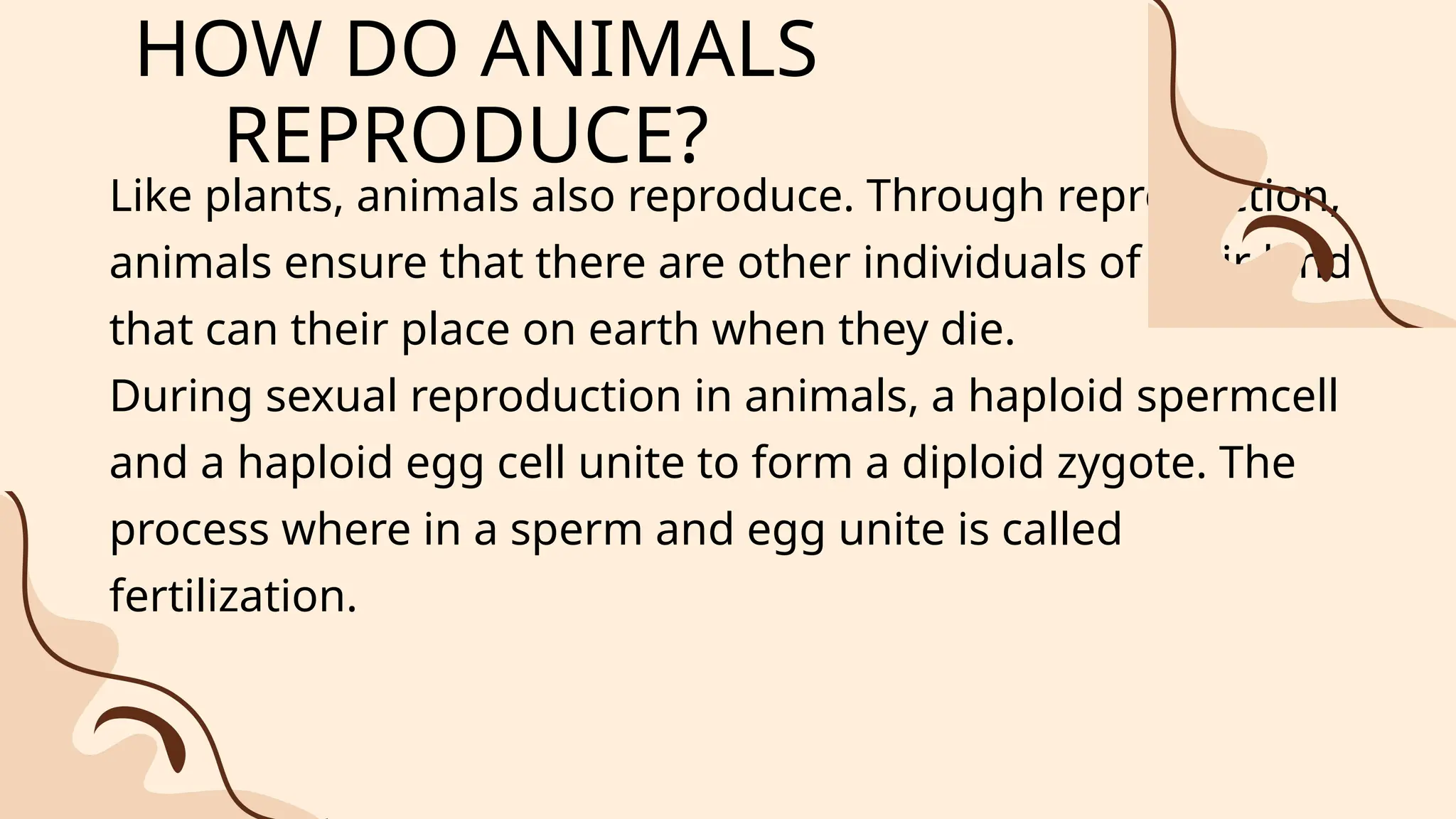 Animal Reproduction on Reproduction in animals | PPTX