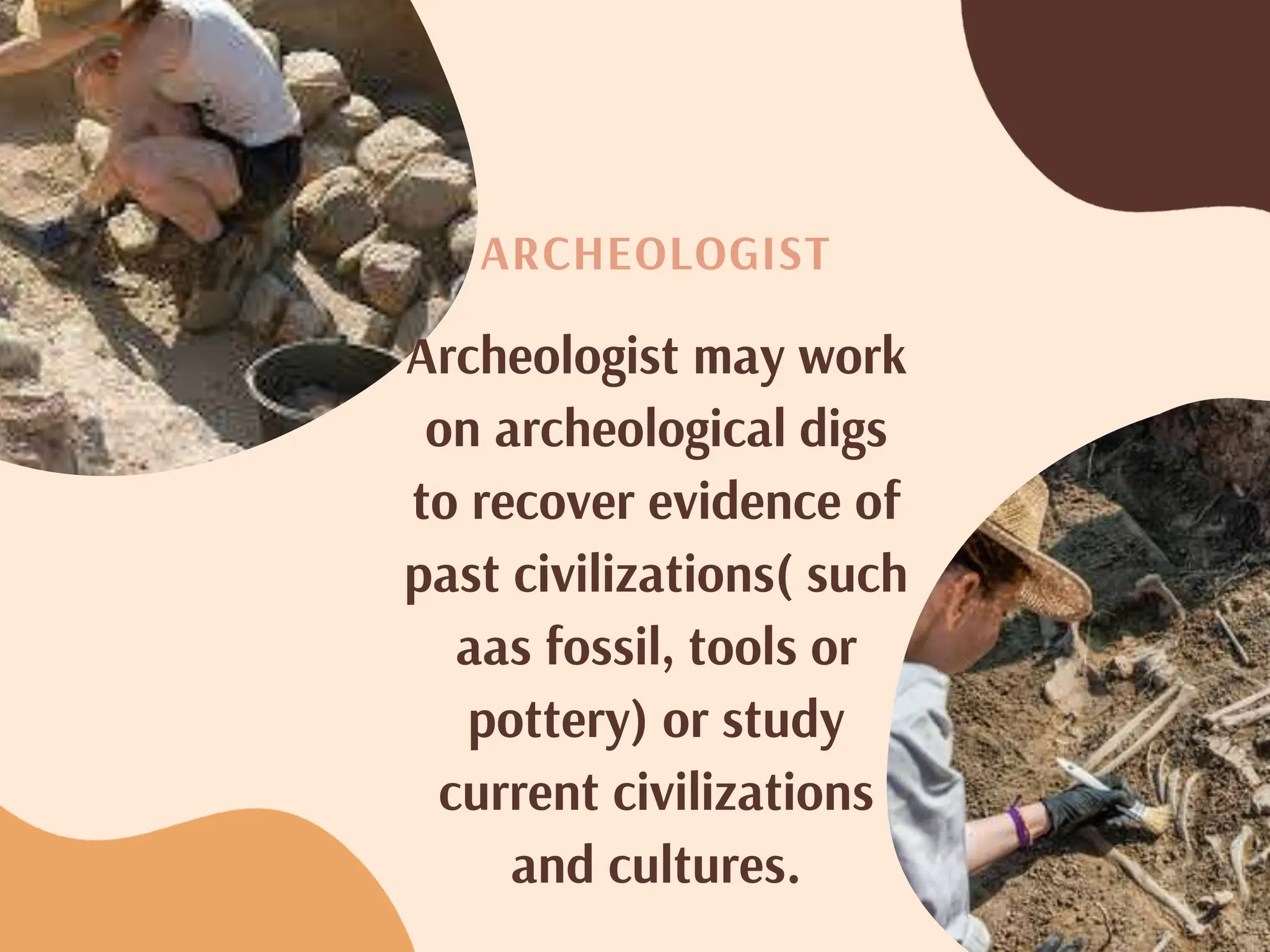 Social Science in Real World -Professions in Social Science | PPTX