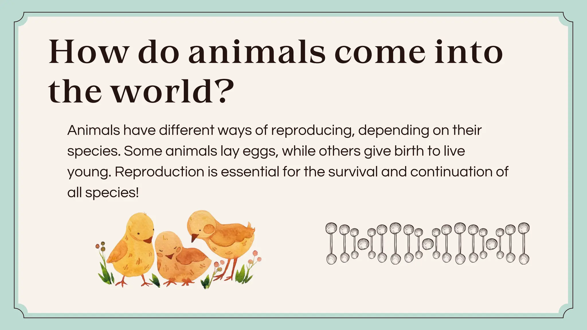 Pregnancy in animals and classification. | PPTX