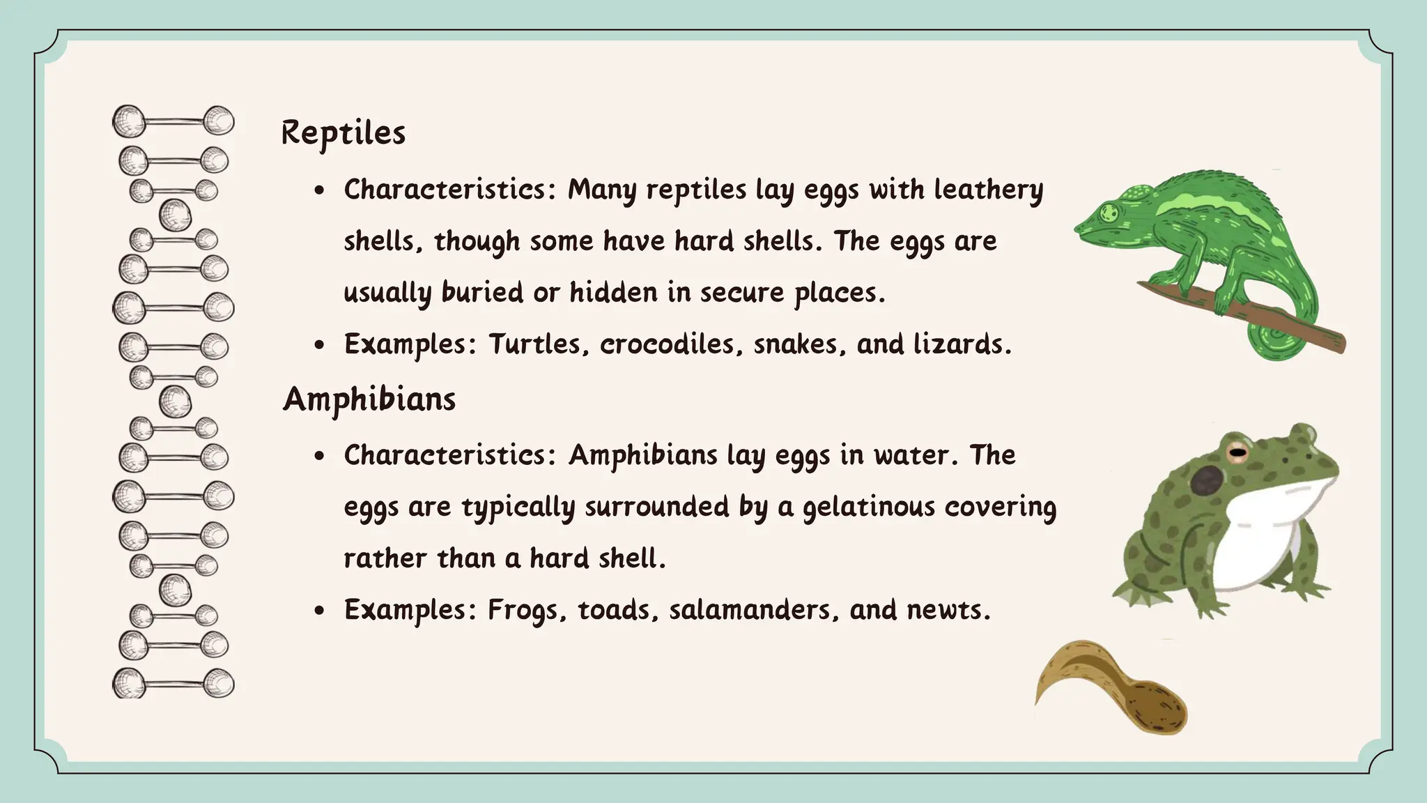 Pregnancy in animals and classification. | PPTX