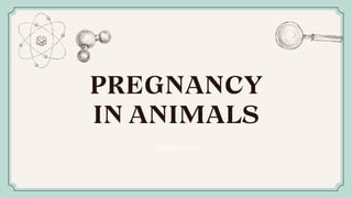 Pregnancy in animals and classification. | PPT