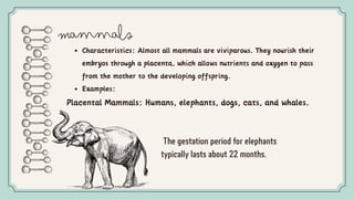 Pregnancy in animals and classification. | PPT