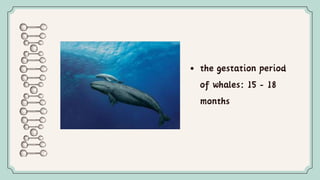 Pregnancy in animals and classification. | PPT
