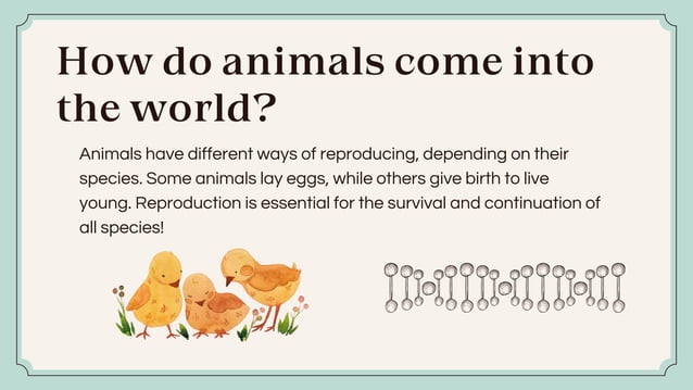 Pregnancy in animals and classification. | PPT