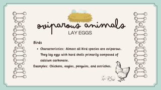 Pregnancy in animals and classification. | PPT