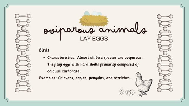 Pregnancy in animals and classification. | PPT