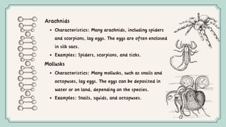 Pregnancy in animals and classification. | PPT